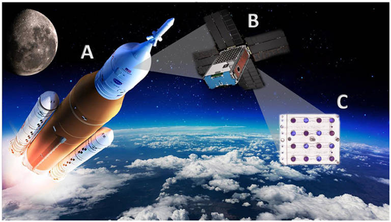 Unesp Para Jovens | Conheça o BioSentinel, o primeiro experimento ...
