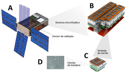 Unesp Para Jovens | Conheça o BioSentinel, o primeiro experimento ...
